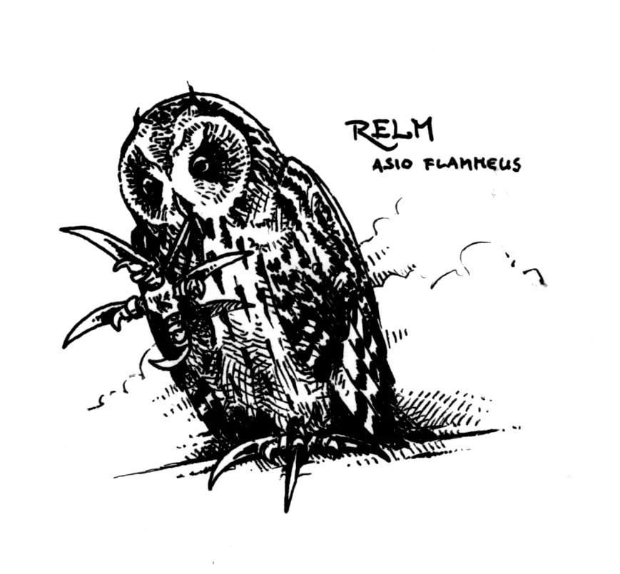 Relm | Guardians of Ga'Hoole Fanon Wikia | Fandom