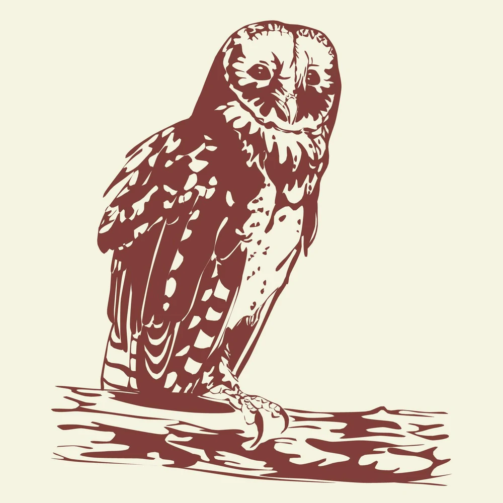 Crimsonclaw | Guardians of Ga'Hoole Fanon Wikia | Fandom