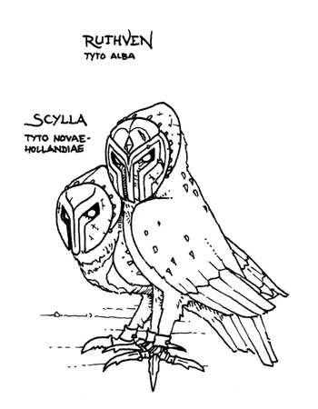 guardians of ga'hoole coloring pages