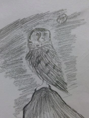 Skellum | Guardians of Ga'Hoole Fanon Wikia | Fandom