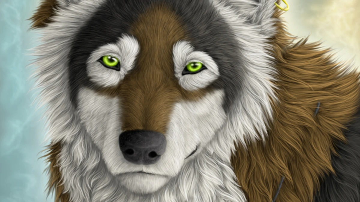 Koga | GuardianWolf Wiki | Fandom