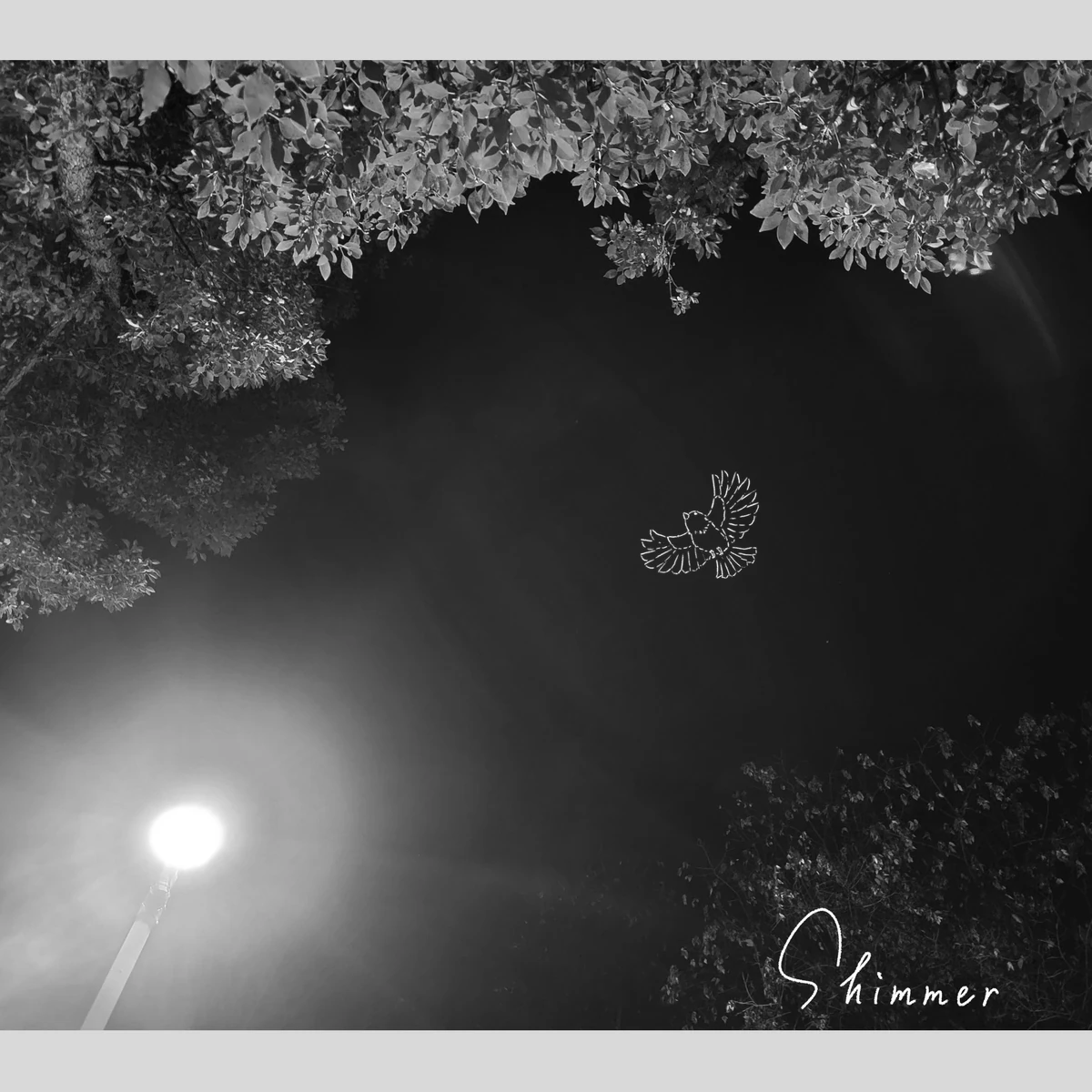 Telescope Sick | Guchiry Wiki | Fandom