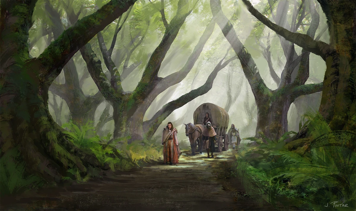 TRACKY Friday: The Forest | Guild of Maura Wiki | Fandom