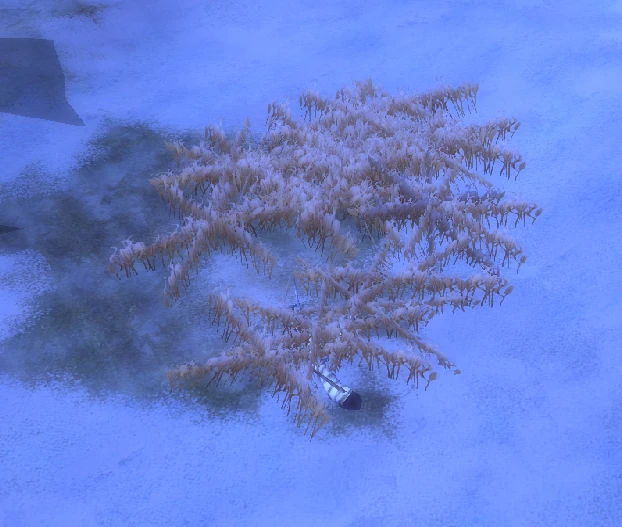 Field | Guild 2 Renaissance Wiki | Fandom