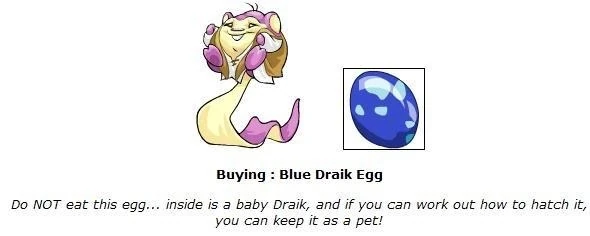 Draik Egg | Neopets Wiki | Fandom