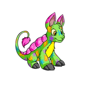 Disco | Neopets Wiki | Fandom