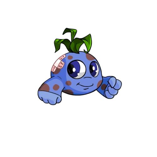 Chokato | Neopets Wiki | Fandom