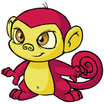 Mynci | Neopets Wiki | Fandom