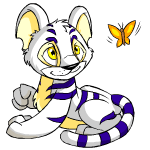 Kougra | Neopets Wiki | Fandom