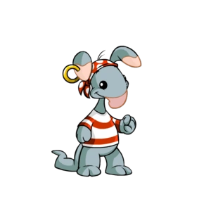 Pirate | Neopets Wiki | Fandom