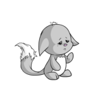 Kacheek | Neopets Wiki | Fandom