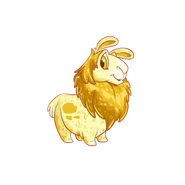 Gnorbu | Neopets Wiki | Fandom