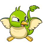 Pteri | Neopets Wiki | Fandom
