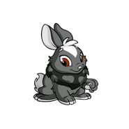 Skunk | Neopets Wiki | Fandom