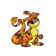 Zafara | Neopets Wiki | Fandom