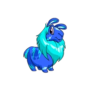 Gnorbu | Neopets Wiki | Fandom