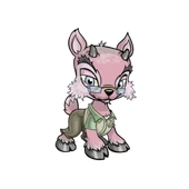 Elderly | Neopets Wiki | Fandom