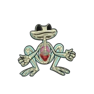 Nimmo | Neopets Wiki | Fandom