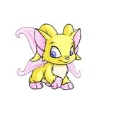 Acara | Neopets Wiki | Fandom