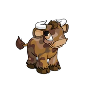 Kau | Neopets Wiki | Fandom