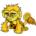 Mynci | Neopets Wiki | Fandom
