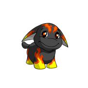 Poogle | Neopets Wiki | Fandom