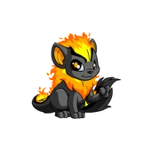 Fire | Neopets Wiki | Fandom
