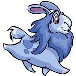 Gnorbu | Neopets Wiki | Fandom