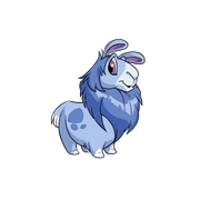 Gnorbu | Neopets Wiki | Fandom