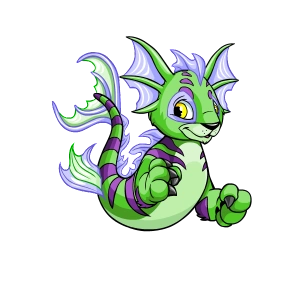 Kougra | Neopets Wiki | Fandom