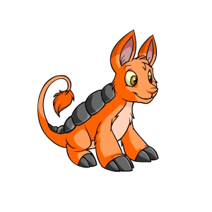 Orange | Neopets Wiki | Fandom