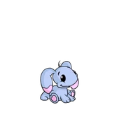 Blumaroo | Neopets Wiki | Fandom