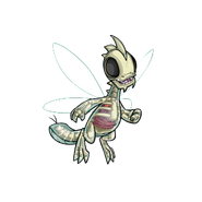 Transparent | Neopets Wiki | Fandom