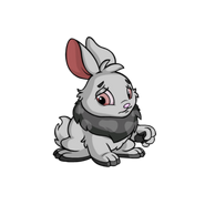 Cybunny | Neopets Wiki | Fandom