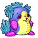 Feepit | Neopets Wiki | Fandom