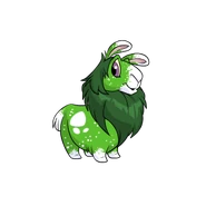 Gnorbu | Neopets Wiki | Fandom