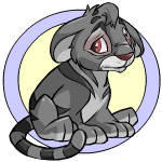 Kougra | Neopets Wiki | Fandom