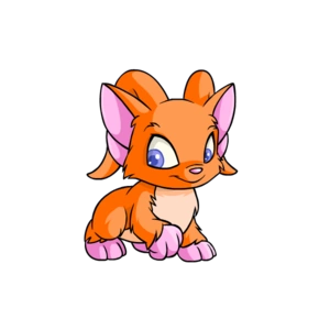 Orange | Neopets Wiki | Fandom