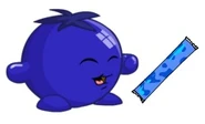 Chia | Neopets Wiki | Fandom