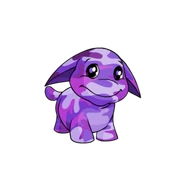 Poogle | Neopets Wiki | Fandom