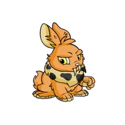Cybunny | Neopets Wiki | Fandom