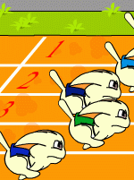 Poogle Racing | Neopets Wiki | Fandom