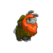 Gnorbu | Neopets Wiki | Fandom