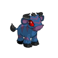 Kau | Neopets Wiki | Fandom