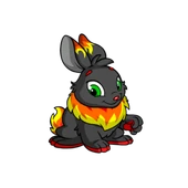 Fire | Neopets Wiki | Fandom