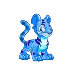 Kougra | Neopets Wiki | Fandom