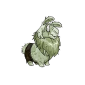 Zombie | Neopets Wiki | Fandom