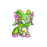 Acara | Neopets Wiki | Fandom