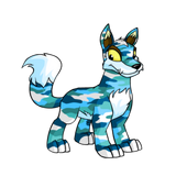 Camouflage | Neopets Wiki | Fandom