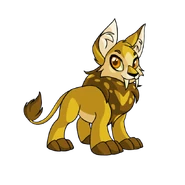 Varwolf | Neopets Wiki | Fandom
